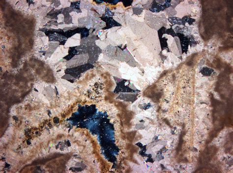Sedimentary Geology And Paleobiology Bruker
