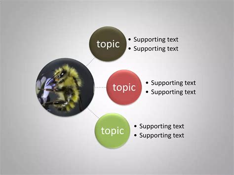 Animated Radial List With Picture POTX