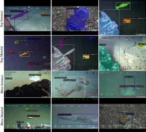 Sampled Results For Object Detection And Image Segmentation For Both
