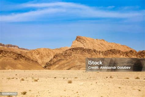 사하라 사막 모래 언덕 돌의 풍경 사진 모래 초목 푸른 하늘 사하라 사막 Tozeur 도시 튀니지 아프리카와 사막 언덕의 광활한 전망 광고문안 공간 복사 0명에 대한 스톡