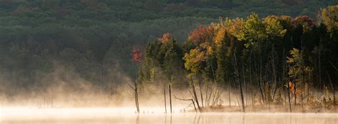 Forests Canada Forests Canada Added A New Photo