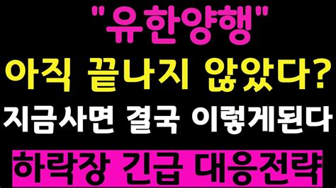 유한양행 주가전망 유한양행 아직 끝나지 않았다 지금사면 결국 이렇게 된다 제약바이오 유한양행 주식 주가 긴급 대응전략 Youtube