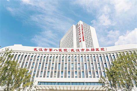 武汉科技大学附属汉阳医院介绍 详细介绍 简介 就医助手 武汉科技大学附属汉阳医院介绍 详细介绍 简介 就医助手