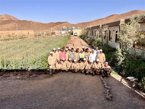 Mahmoud Abdelghany On Linkedin Advacon