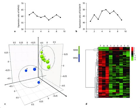 Microarray Profile Of Gene Expression Between Fsgs Patients With Srns Download Scientific