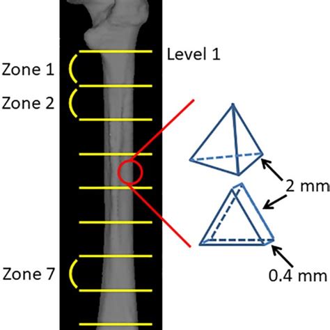 Diagram Of Reconstruction Using The Ct Based Fe Analysis Download Scientific Diagram