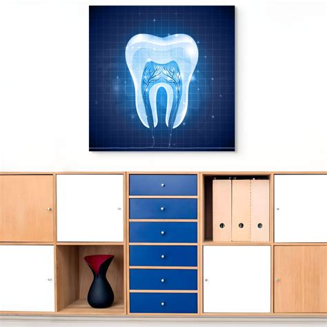 Шүдний бүтэц