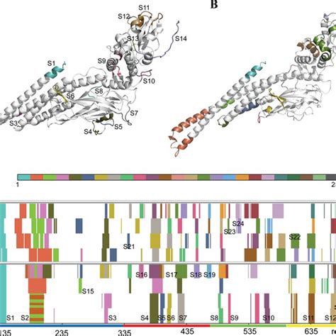 Fig 1 Structure Of The Stat Proteins A Stats Structure Is Composed Of A N Terminal Domain N