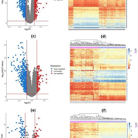 Volcano Plot And Heatmap Of Degs For Each Geo Dataset Were Generated Download Scientific