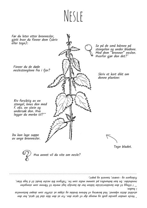 Utforsk Planter Nesle Undervisningsbyen No