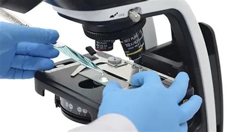 Sop For Particle Size Analysis By Microscopy