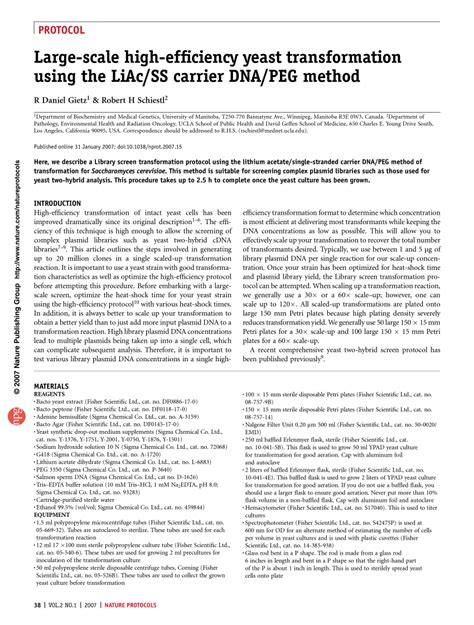 Pdf Large Scale High Efficiency Yeast Transformation Using The Liac Ss Carrier Dna Peg Method