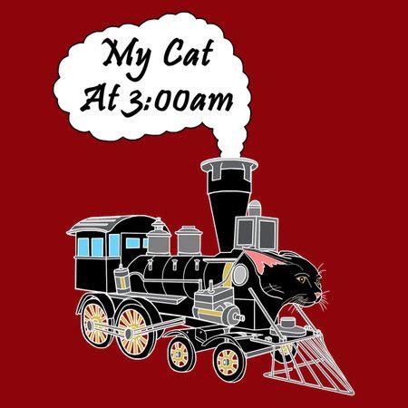 Speeding Train Hyper Black Cat At 3 00am NeatoShop