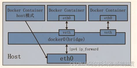 Docker网络 Bridgehostcontainernone模式docker Brige 改为 Host Csdn博客