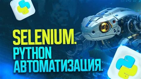 АВТОМАТИЗАЦИЯ Python Selenium автоматизация Python программирование 14 Youtube