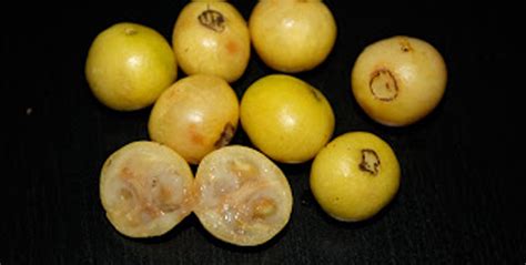 Arrayanes Con Chilito La Botana Que Todo Sinaloense Debe Probar Lo