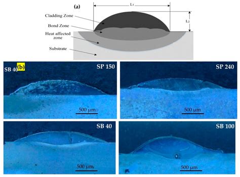A Schematic Of The Cross Section Of The Laser Cladded Single Track Download Scientific