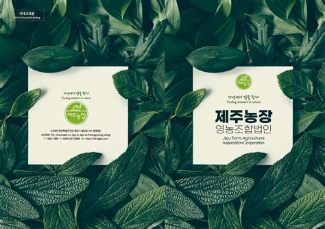 유기농 과일 야채 즙 전문기업 카탈로그 제작 사례 한미르 수출바우처 우수수행기관