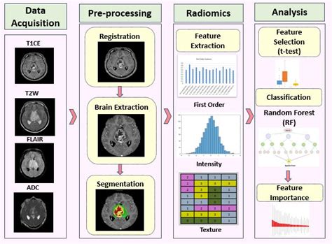 Figure 1processing Pipeline For Radiomics Analysis And Classification
