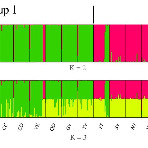 Graphical Output Of The Structure Analysis Representing Hierarchical Download Scientific