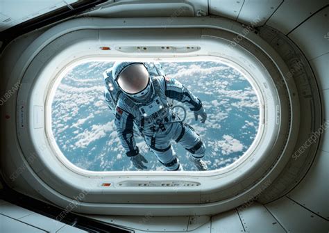 Astonaut Seen From Spaceship Window Illustration Stock Image F045 7603 Science Photo Library