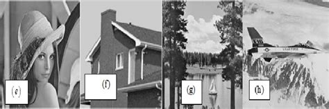 Figure 8 From A Hybridized Robust Watermarking Scheme Based On Fast