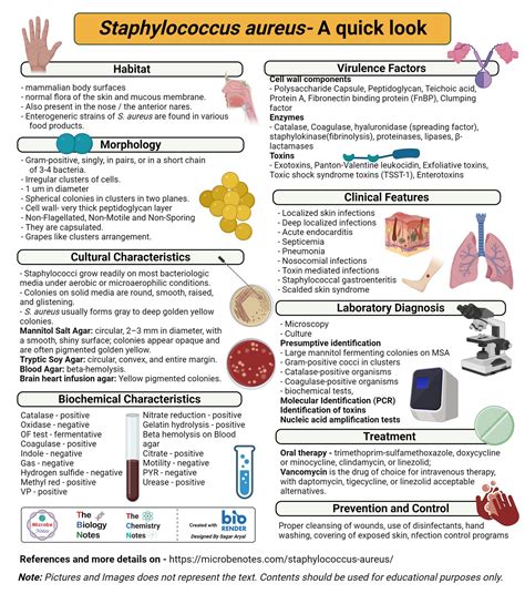 Genscript Staphylococcus Aureus A Quick Look Facebook