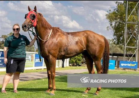 Gwenda Johnstone Racing Gallery