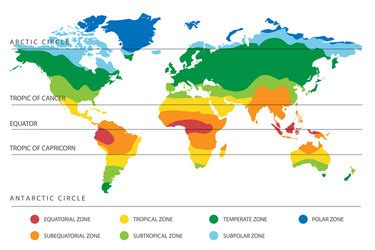 World Map Divided Into Six Continents Each Vector Image