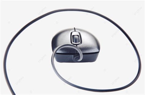 Computer Mouse Pc Input Device Accessory PNG Transparent Image And Clipart For Free Download