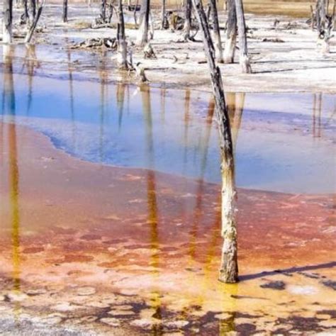 Agentes Contaminantes Del Agua Descubre Cuáles Son Eco360