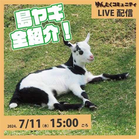 ゆんたくコミュニティ限定ライブ配信「島ヤギ全紹介」 沖縄こどもの国｜ゆんたくコミュニティでずっと応援！（沖縄こどもの国okinawa Zoo
