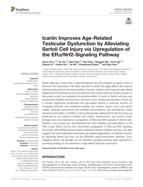 Pdf Icariin Improves Age Related Testicular Dysfunction By