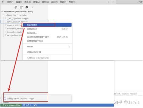 最简单的 Vscode 插件开发示例:右键选中文件然后打印文件名 知乎 最简单的 Vscode 插件开发示例:右键选中文件然后打印文件名 知乎