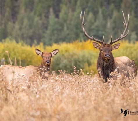 Creeks And Critters Nature Tours