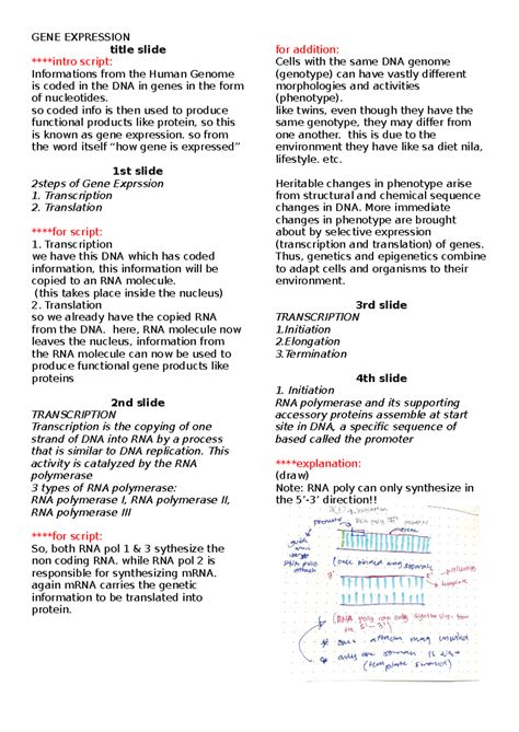 gene expression script gene expression title slide intro script informations from the