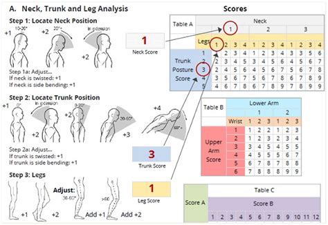 A Step By Step Guide To The REBA Assessment Tool