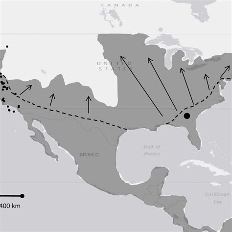 Approximate Range Of The Gray Fox Urocyon Cinereoargenteus Dashed