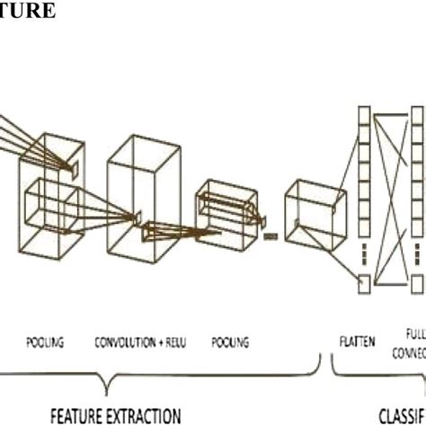 Cnn Architecture For Skin Disease Download Scientific Diagram