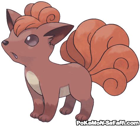 Vulpix Pok Mon Photo Fanpop