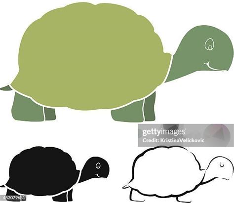Turtle Sign Photos And Premium High Res Pictures Getty Images