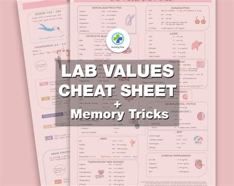 Pdf Instant Download Nursing Lab Values Cheat Sheet Printable Lab