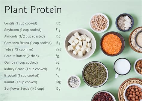 Protein Examples High Protein Foods Entrenosotros Consum
