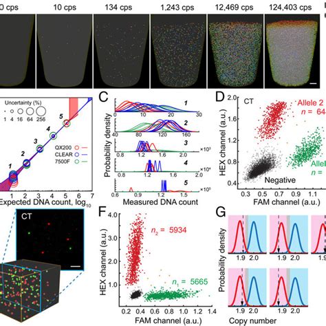 Performance Of Clear Dpcr With Different Assays A Absolute In Situ