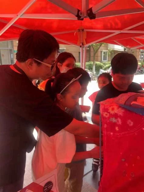 上海流浪猫狗救助站夏日救助流浪奶猫奶狗上海宠物领养救助基地