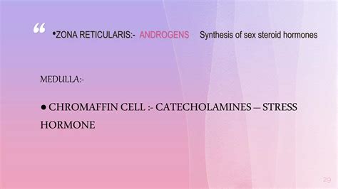 Morphology Of Endocrine Tissue Pptx Thyroid Disorders Endocrine