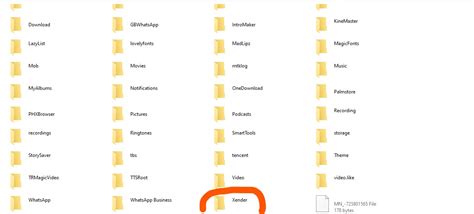 Image How Can I Access Files In A Particular Directory In My Flutter App Stack Overflow