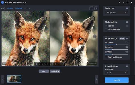 The Best Noise Reduction Software For Photographers A Comprehensive Guide Avclabs