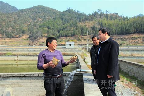 云谷甲鱼以品质赢得市场 开化新闻网
