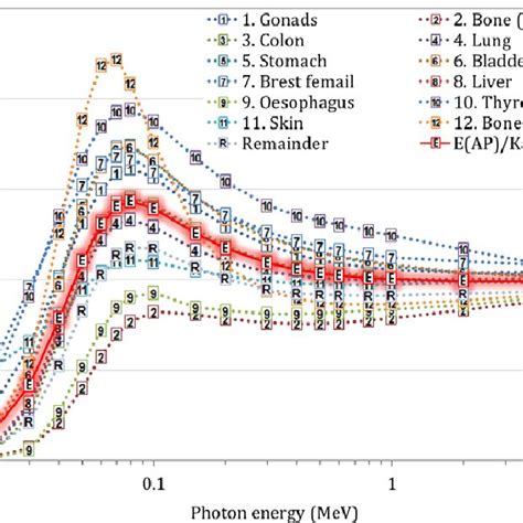 Organ Equivalent Doses And The Effective Dose For Anterior Posterior Download Scientific